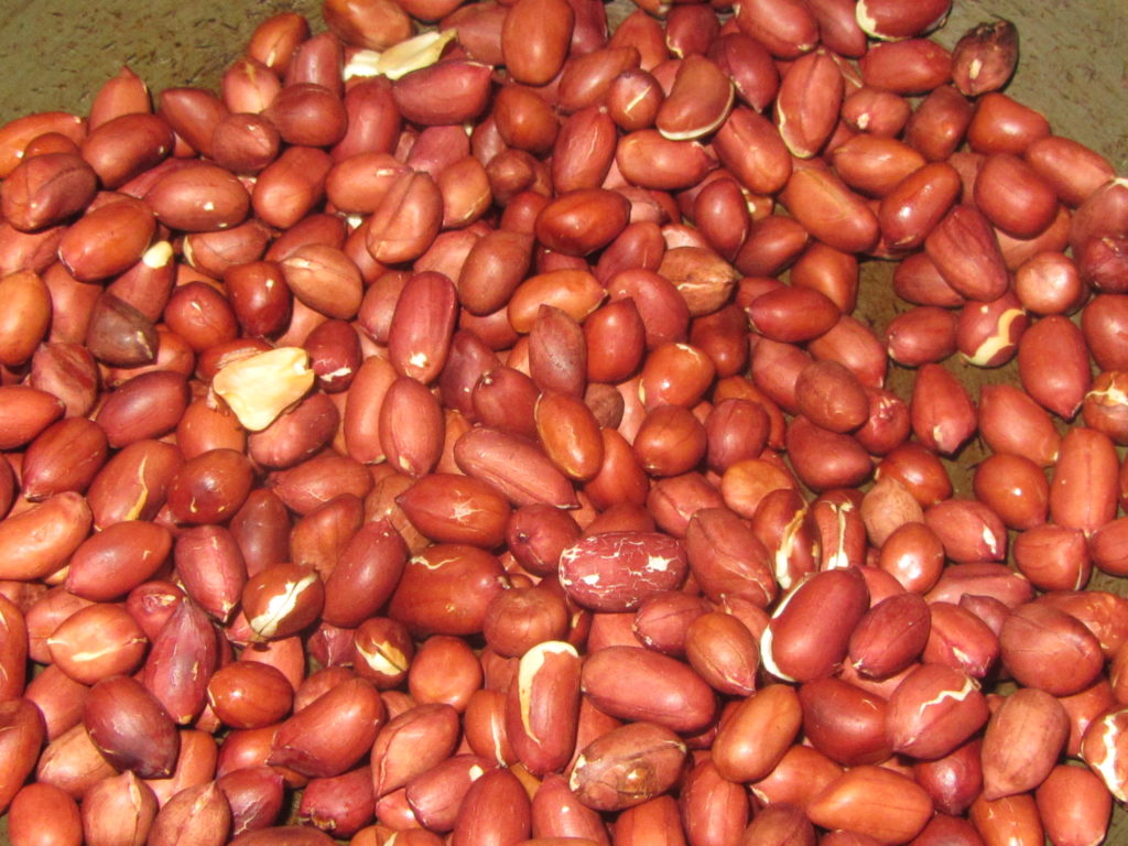 Masala Groundnuts | Khara Kadalebeeja | Snack Recipes – Food Of Interest