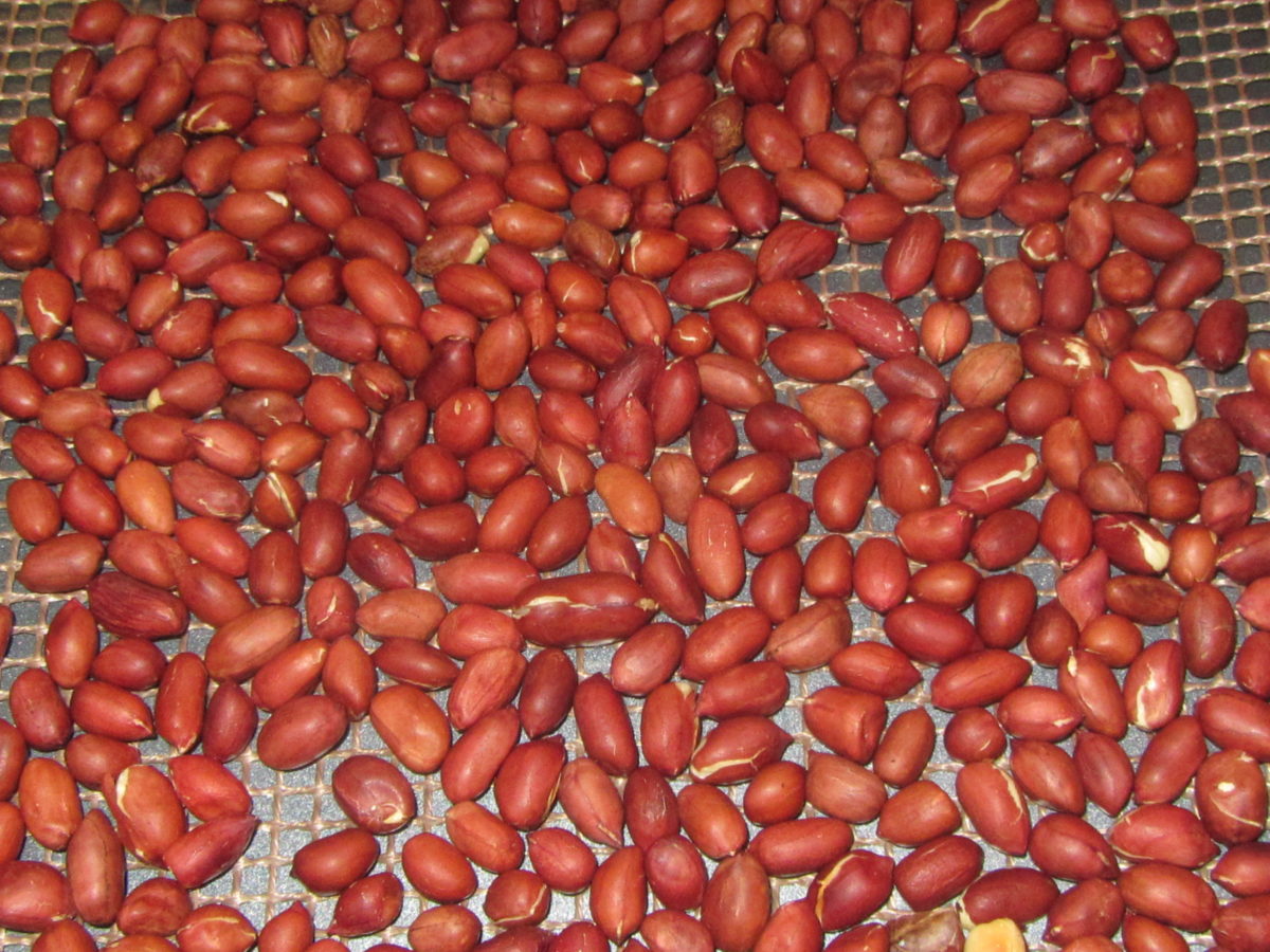 Masala Groundnuts | Khara Kadalebeeja | Snack Recipes – Food Of Interest