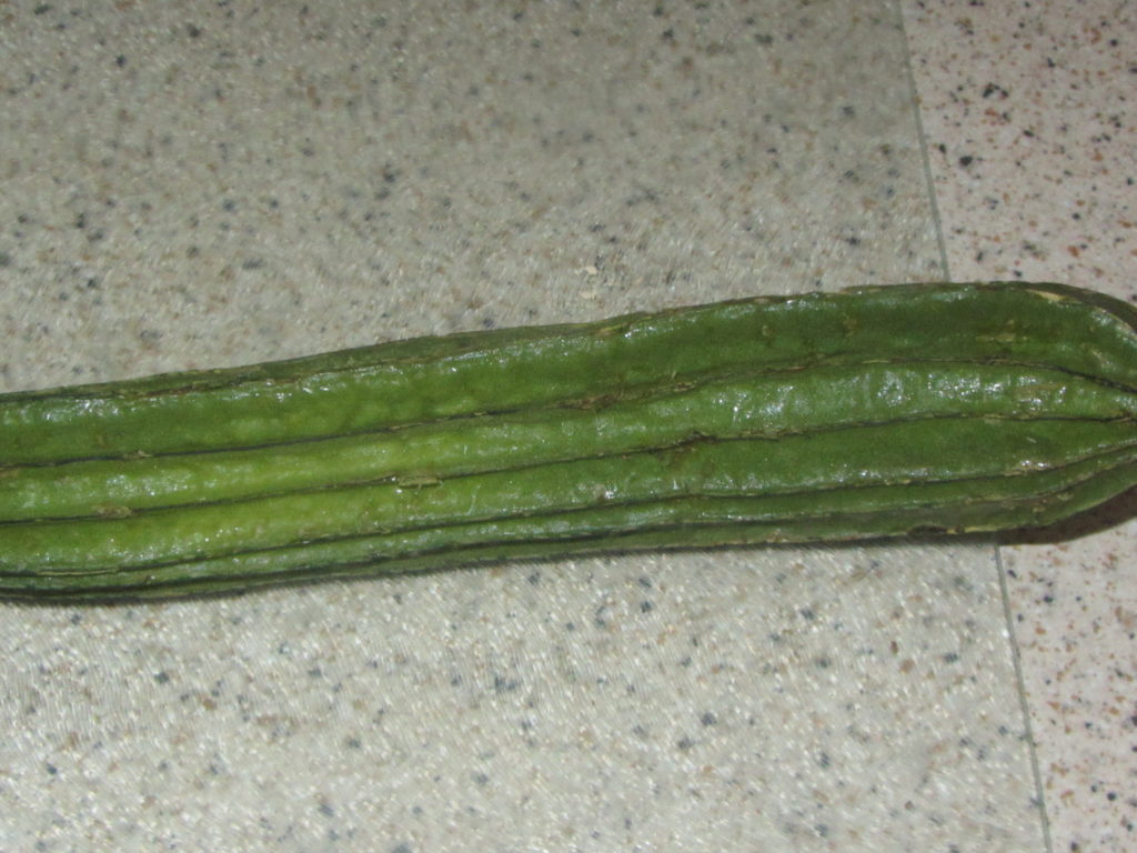 Heerekayi Dosa | Ridge Gourd Dosa | Dosa Recipes – Food Of Interest